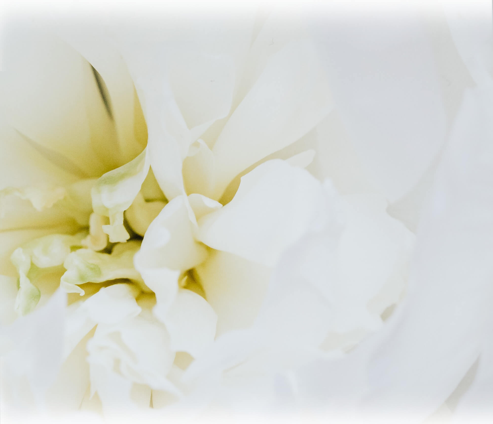 Laxité et béance vulvo-vaginales | Corinne Legrand, gynécologue à Mérignac